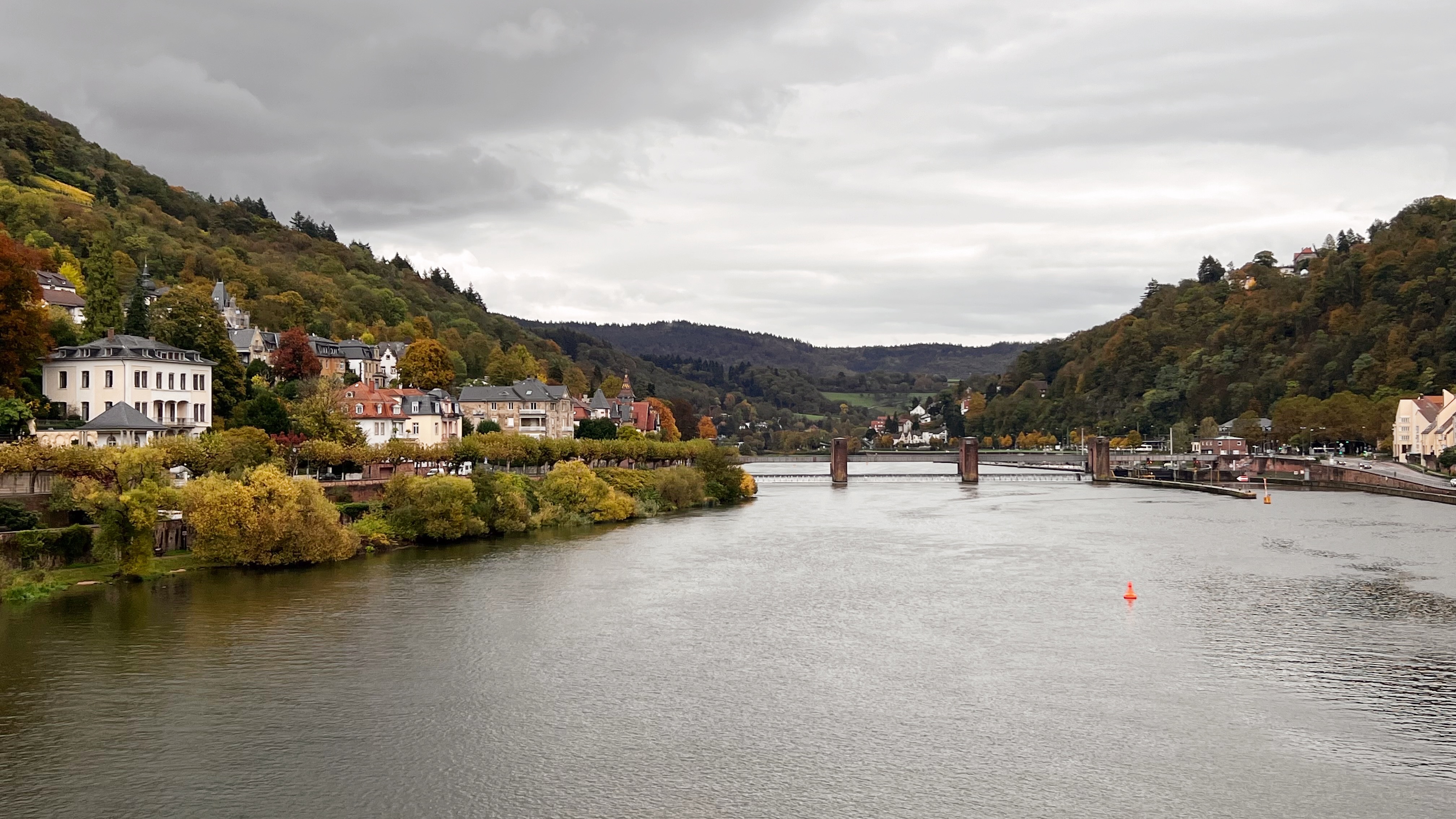 A Rainy Day in Heidelberg – A Walk Through The City